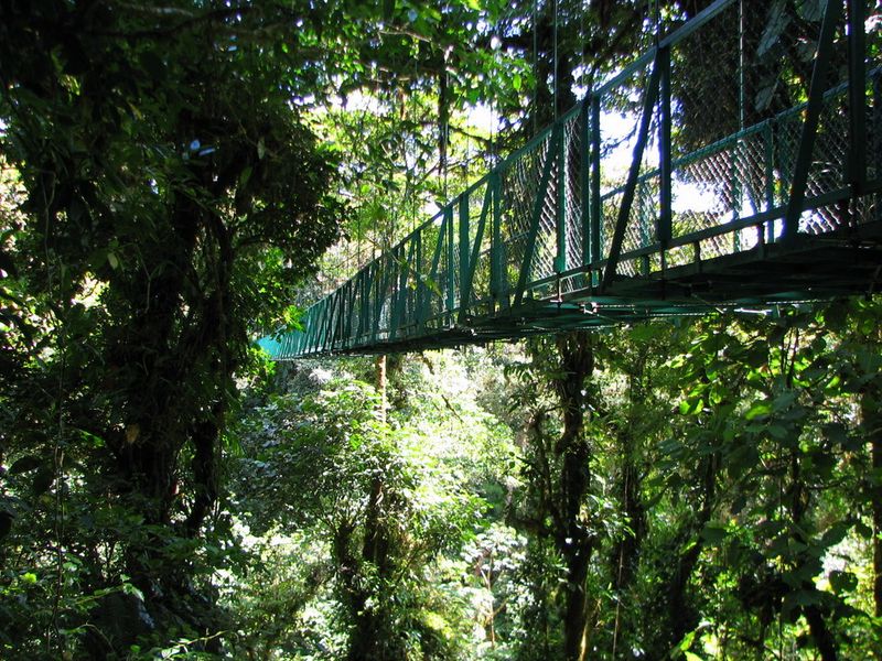 Sky Walk - Costa Rica suspension bridges