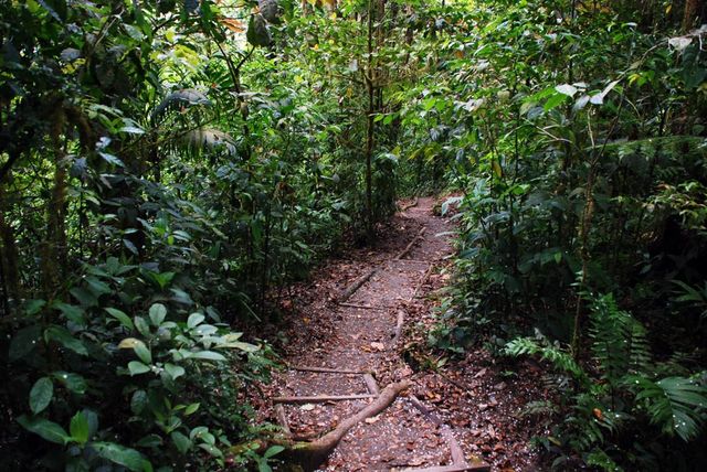 Sky Walk - Costa Rica suspension bridges
