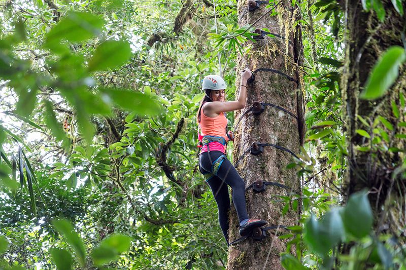 Selvatura Park Monteverde Costa Rica
