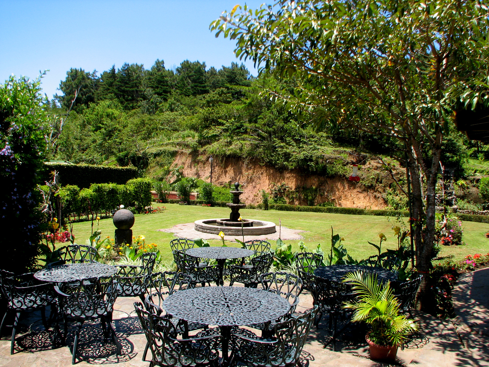 Spanish lessons Monteverde Costa Rica