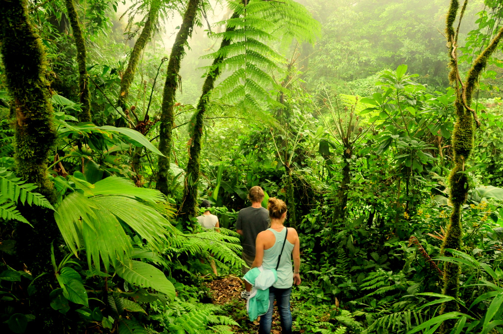 Monteverde Cloud Forest Reserve Costa Rica - Info