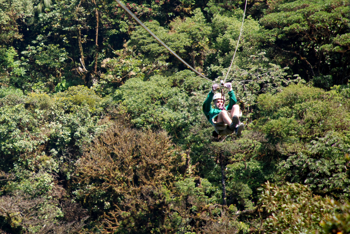 Costa Rican Rainforest Canopy